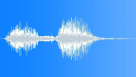 Police Yelling Sound Effects ~ Police Yelling Sounds | Pond5