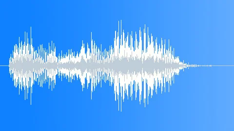 Police Yelling Sound Effects ~ Police Yelling Sounds | Pond5