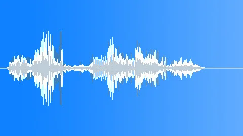 Police Yelling Sound Effects ~ Police Yelling Sounds | Pond5