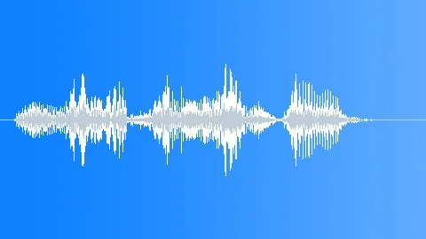 Police Yelling Sound Effects ~ Police Yelling Sounds | Pond5