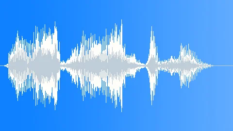 Police Yelling Sound Effects ~ Police Yelling Sounds | Pond5