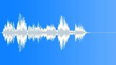 Police Yelling Sound Effects ~ Police Yelling Sounds | Pond5