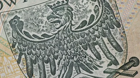 Picture In Polish Stock Videos – Royalty-Free HD & 4K Videos | Pond5