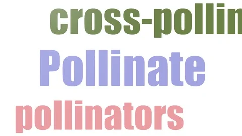 Pollinate Word Cloud Animated Isolated O... | Stock Video | Pond5