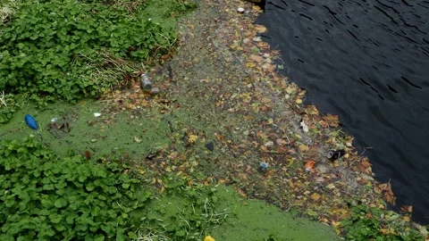Polluted English River in Leicester | Stock Video | Pond5