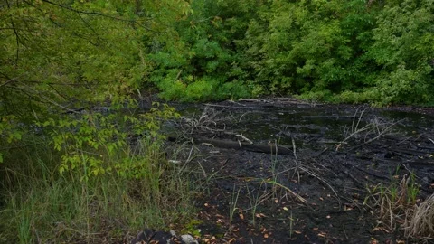 Polluted landscape with toxic wastes | Stock Video | Pond5