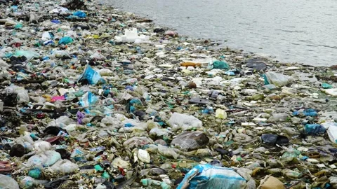 Polluted Shore Of Ocean With Pile Of Lit... | Stock Video | Pond5