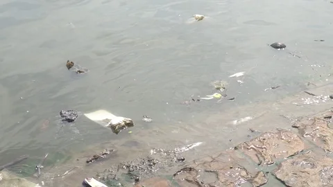 Polluted water in the sea - water pollut... | Stock Video | Pond5