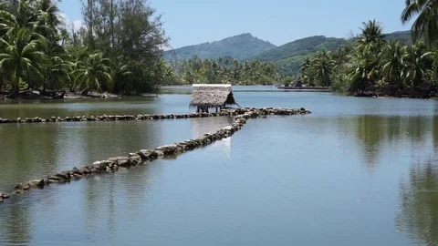 Trap Fish Trap Stock Video Footage | Royalty Free Trap Fish Trap Videos ...