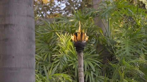 Polynesian torch jungle background | Stock Video | Pond5
