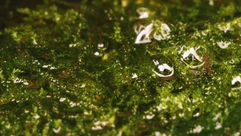 Stock Up U Stock Videos – Royalty-Free HD & 4K Videos