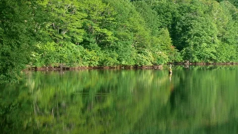 Pond of Kagami in Togakushi, Nagano, Jap... | Stock Video | Pond5