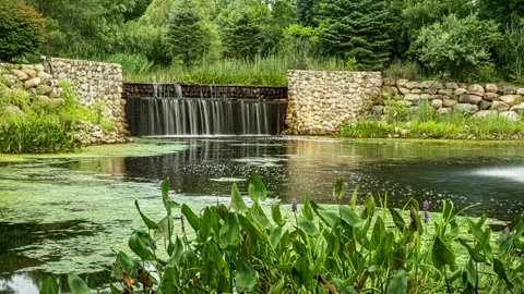 Pond At Subdivision Entrance - Panning L... | Stock Video | Pond5