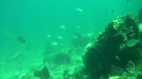 Pond5 Stock Footage ~ Royalty Free Stock Videos | Pond5