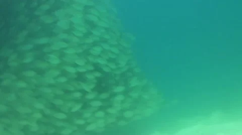 Pond5 Stock Footage ~ Royalty Free Stock Videos | Pond5