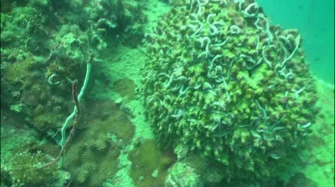 Pond5 Stock Footage ~ Royalty Free Stock Videos | Pond5