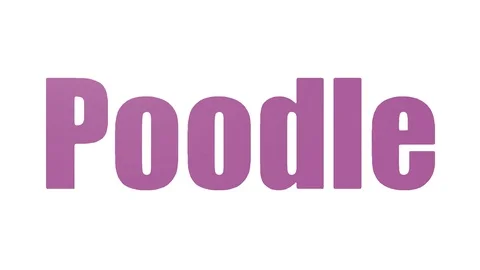 Poodle Isolated Stock Video Footage | Royalty Free Poodle Isolated ...
