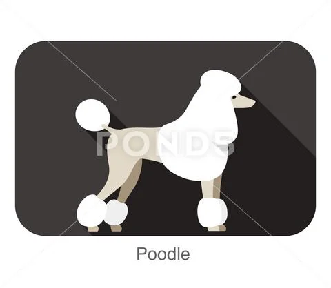 Poodle standing and watching, side view cartoon, vector illustration ...