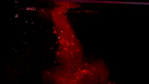 Pool of Blood on Halloween in Ocean in B... | Stock Video | Pond5