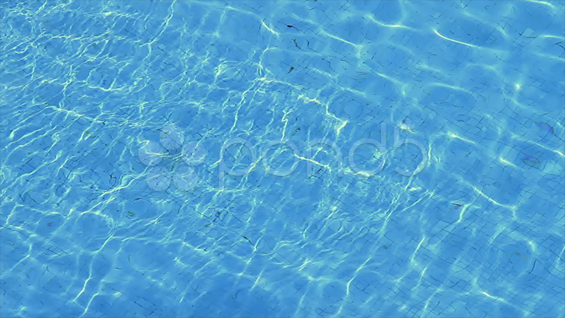 Swimming Pool Water High Resolution