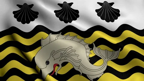 Poole Stock Footage ~ Royalty Free Stock Videos | Pond5