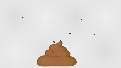 Poop. Animation of flies flying over shi... | Stock Video | Pond5