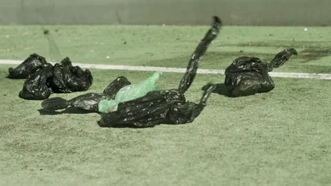 Dog Poop Stock Footage ~ Royalty Free Stock Videos | Pond5