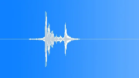 Pooping, poop, defecation, toilet, ploppy drop ~ Stock Sound #254744358