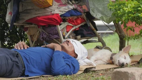 Poor man sleeping in park with dog,Manil... | Stock Video | Pond5