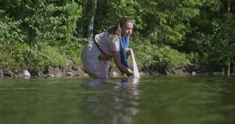 Medieval Vector Stock Footage ~ Royalty Free Stock Videos | Pond5