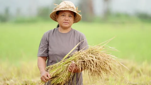 Hardship Stock Footage ~ Royalty Free Stock Videos | Pond5