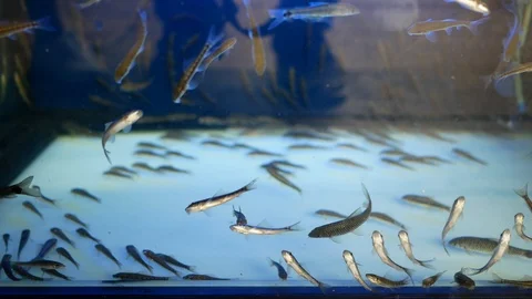 Sky Foot Spa Stock Videos – Royalty-Free HD & 4K Videos | Pond5