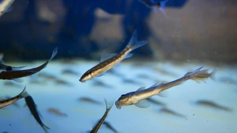 Sky Foot Spa Stock Videos – Royalty-Free HD & 4K Videos | Pond5