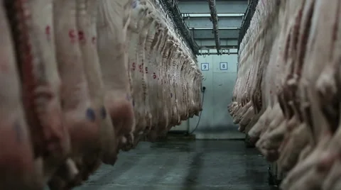 Hanging Dead Body Stock Video Footage | Royalty Free Hanging Dead Body ...