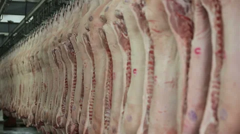 Hanging Body Stock Footage ~ Royalty Free Stock Videos | Pond5