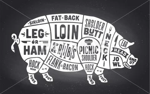 Pork, pig. Scheme, diagram, chart pork, butcher guide Illustration ...