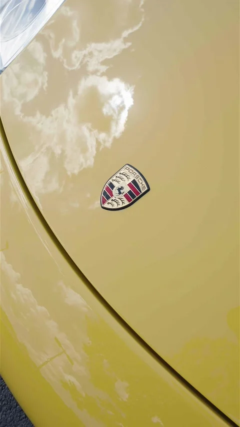 Show Logo Video Stock Videos – Royalty-Free HD & 4K Videos | Pond5