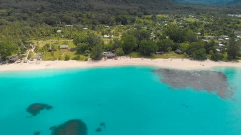 Port Orly sandy beach with palm trees, E... | Stock Video | Pond5
