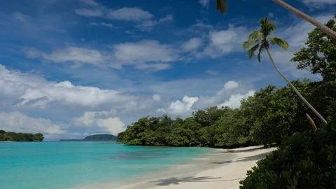 Port Orly sandy beach with palm trees, E... | Stock Video | Pond5