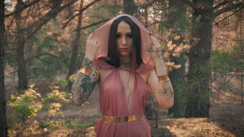 Image Foret Stock Videos – Royalty-Free HD & 4K Videos | Pond5