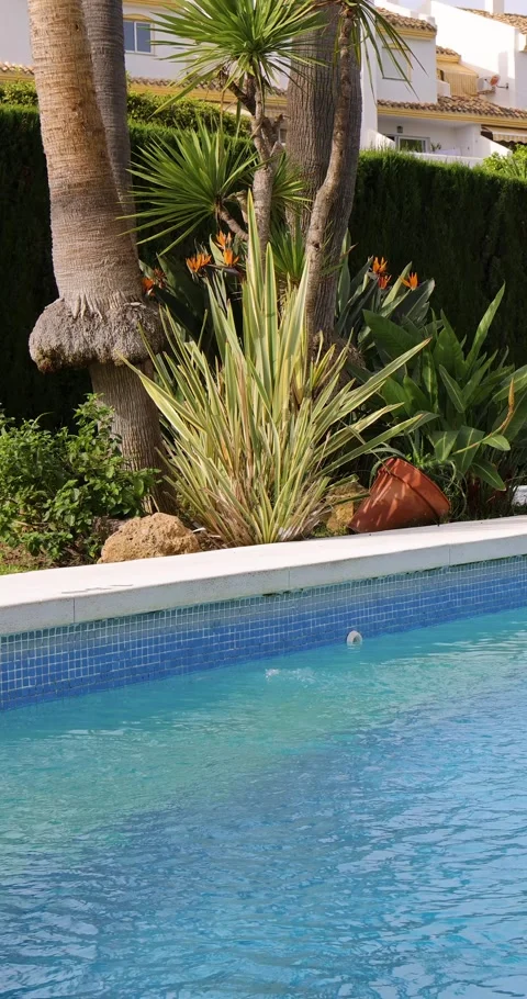 Th Epool Stock Videos – Royalty-Free HD & 4K Videos | Pond5