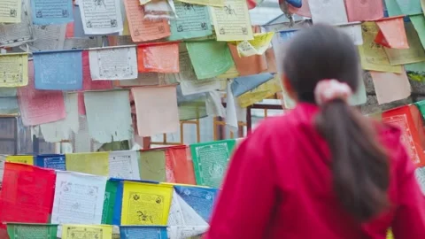 Female Portrait Sculpture Stock Videos – Royalty-Free HD & 4K Videos