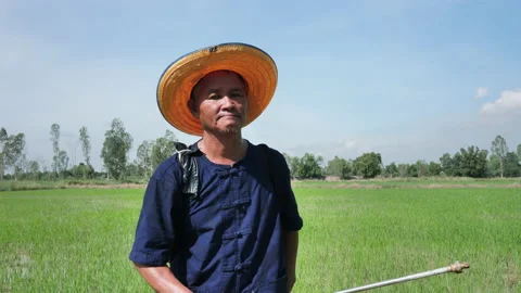 Portrait Senior Asian farmer in the rice... | Stock Video | Pond5