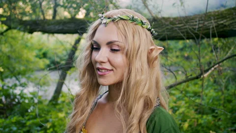 Dream Studio 2 Elfs Stock Videos – Royalty-Free HD & 4K Videos