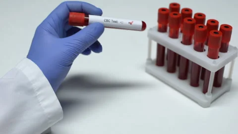 Showing Results Complete Stock Videos – Royalty-Free HD & 4K Videos