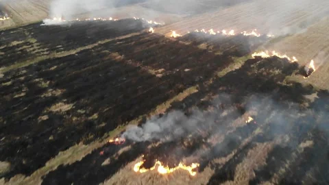 Post harvest rice farm fire burned on ri... | Stock Video | Pond5