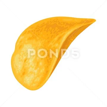 Potato chips. Vector color realistic illustration. Hand drawn design ...