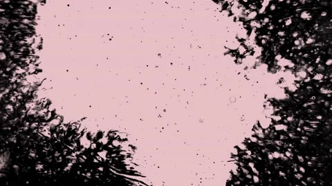 Pouring pink ink on a black background | Stock Video | Pond5