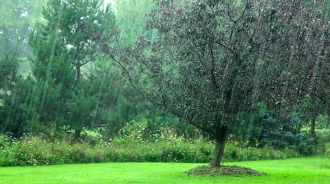 Cloud Pouring Rain Stock Videos – Royalty-Free HD & 4K Videos