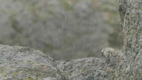 Water Fall Animal Stock Videos – Royalty-Free HD & 4K Videos | Page 6